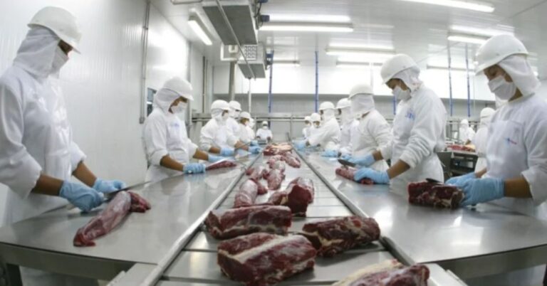 Exportação de carne para a China cresce após decisão sanitária ...